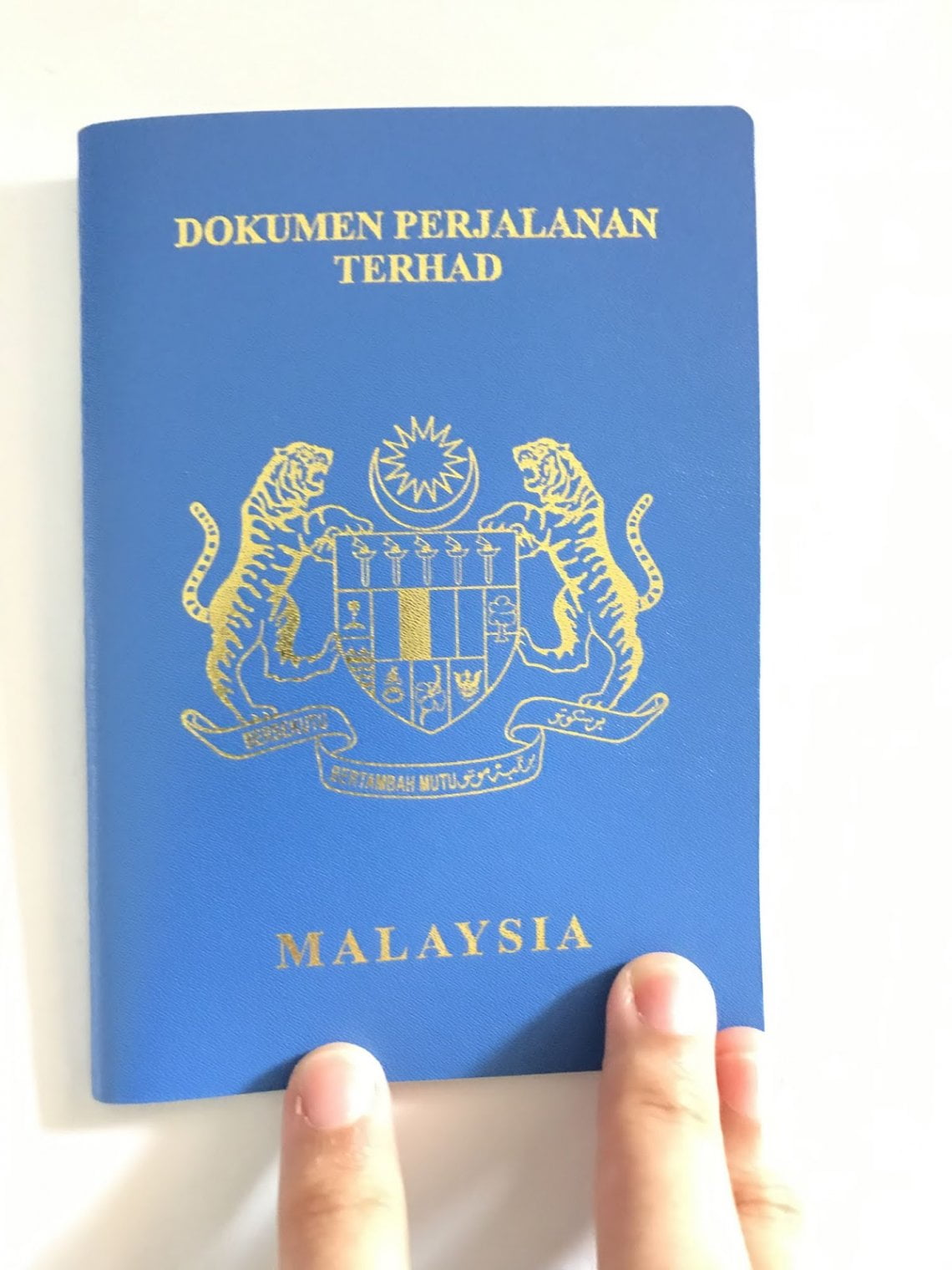 Tak Semua Perlu Passport Merah, Ini Dokumen Perjalanan Malaysia Yang ...