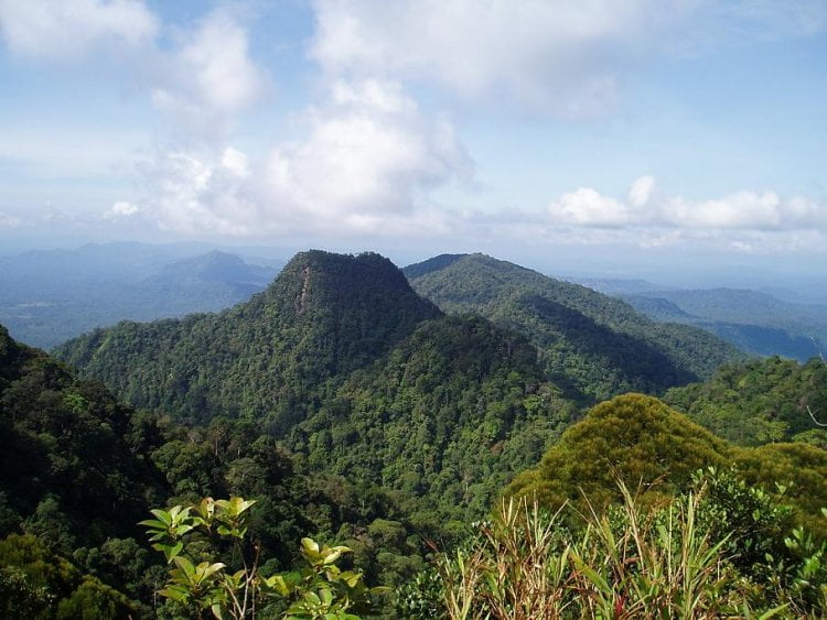 7 Port Hiking Di Sekitar Kuching Yang Anda Perlu Cuba