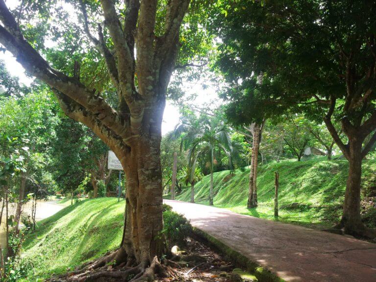 5 Tempat Eko Pelancongan Menarik Yang Anda Mesti Kunjungi Di Limbang