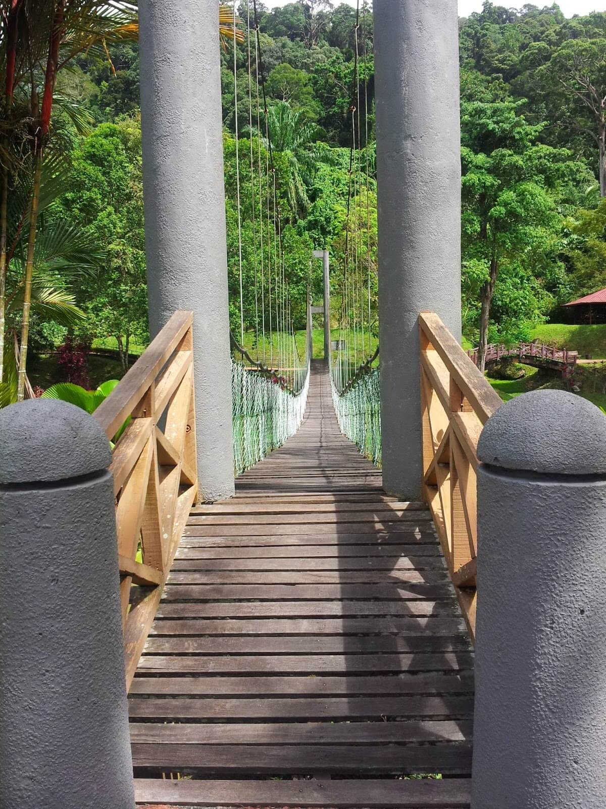 5 Tempat Eko Pelancongan Menarik Yang Anda Mesti Kunjungi Di Limbang