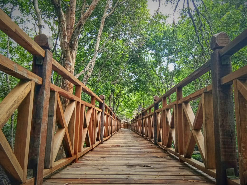 5 Tempat Eko Pelancongan Menarik Yang Anda Mesti Kunjungi Di Limbang
