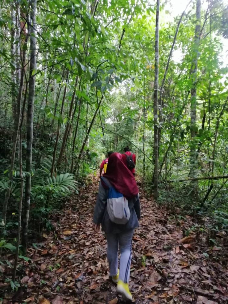 Gunung Ngeli, Port Hiking Yang Sesuai Untuk Beginner Di Simunjan