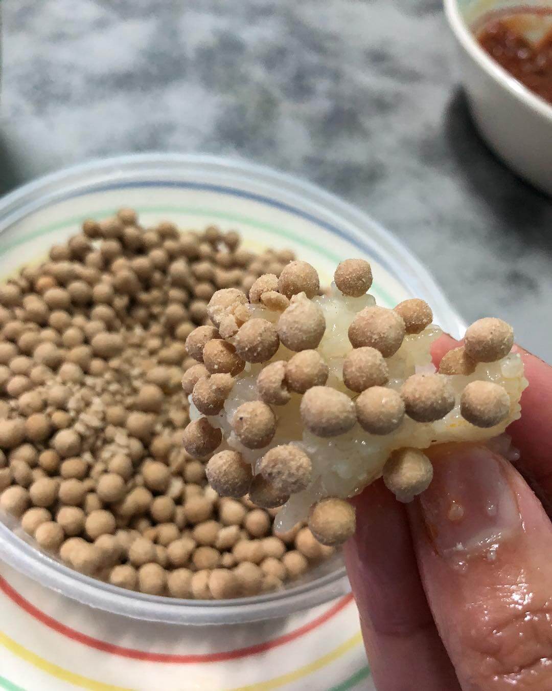 Pernah Makan Sesar Unjur? Kenali 4 Makanan Rare Yang Hanya Boleh Anda ...