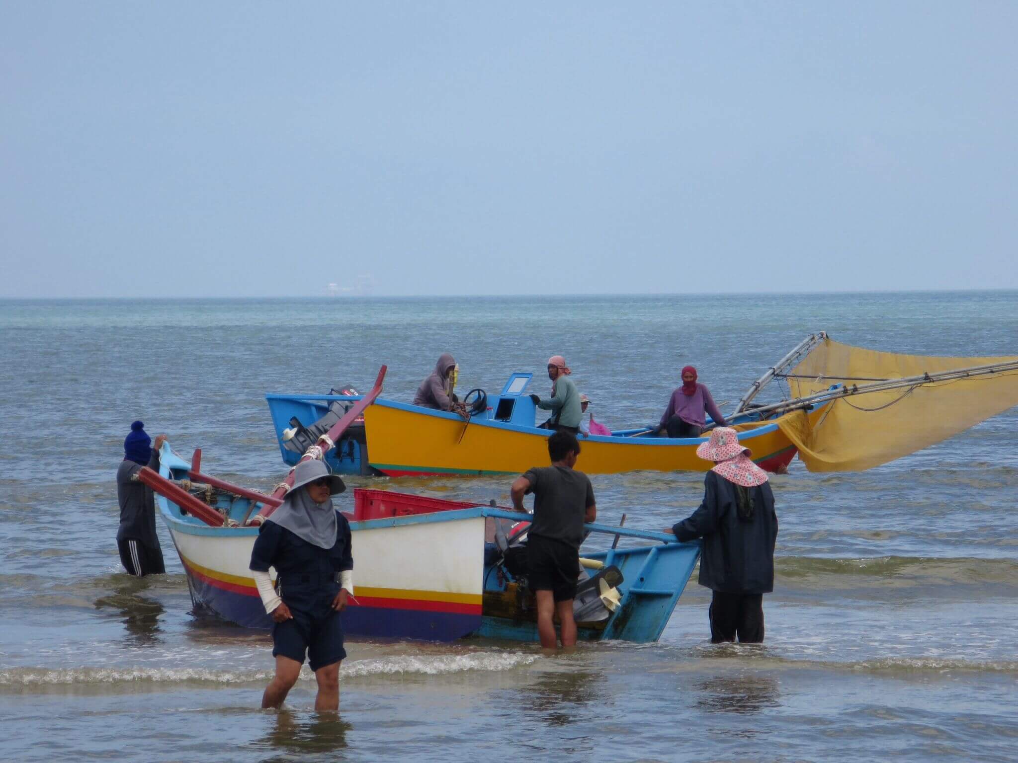 5 Fakta Menarik Tentang Udang Geragau Atau Bubuk Sarawak Yang Anda ...