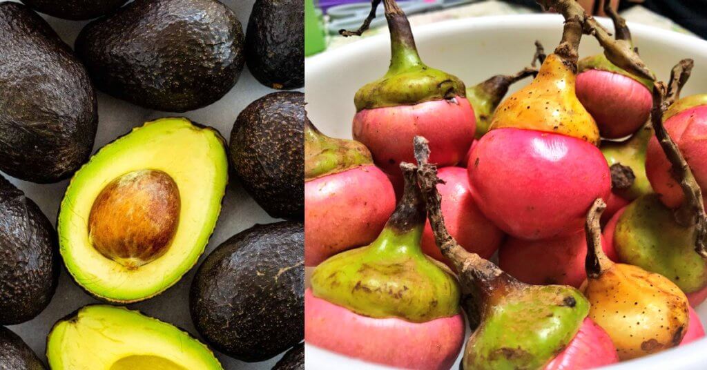 Digelar Avocado Malaysia, Kenali Buah Engkalak Yang Hanya Terdapat Di ...