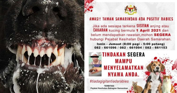 Filem Janet Sumpah Terlarang, Lagenda Hantu Terkenal Sarawak Bakal ...