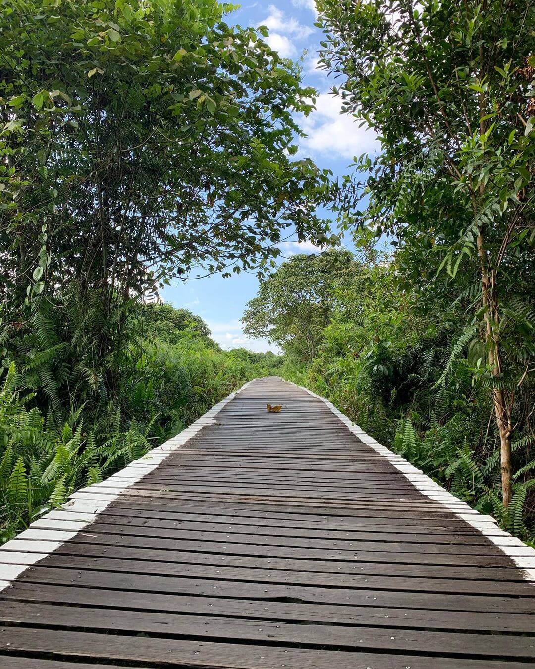 Baru Challenging! Tempat Rekreasi Terbesar Di Sibu, Anda Boleh Riadah ...