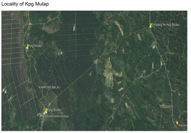 Kayu Belian, Kos Logistik Justifikasi Jeti Kayu Bernilai RM50,000 Di ...