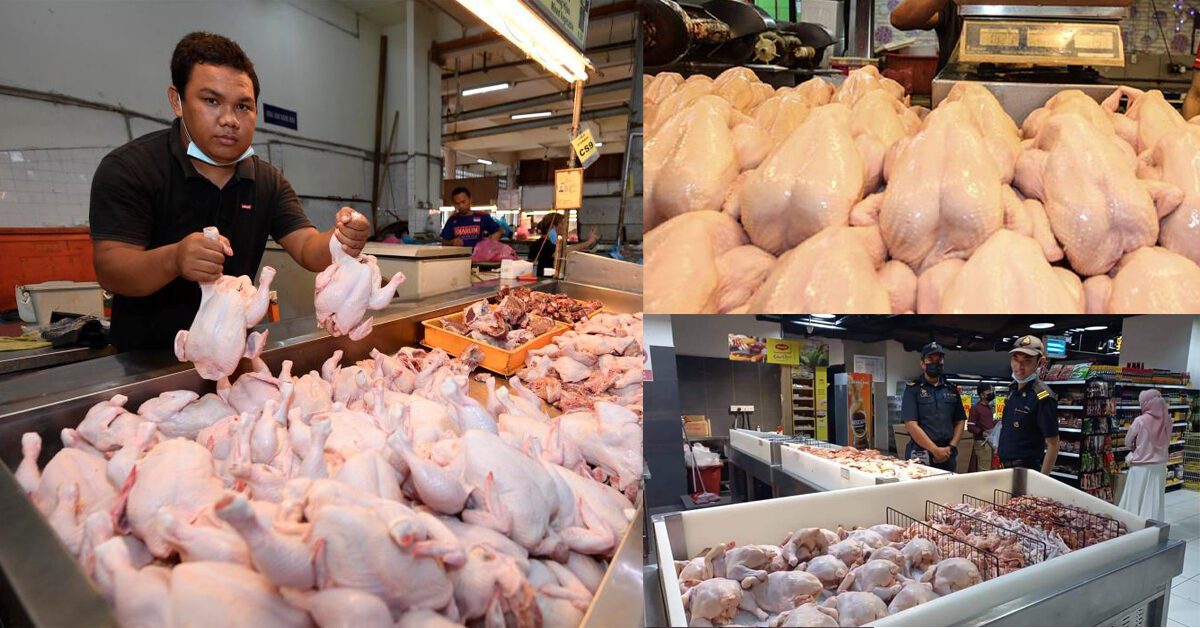 Harga Siling Ayam Standard Di Sabah Sarawak Lebih Tinggi Dari Semenanjung