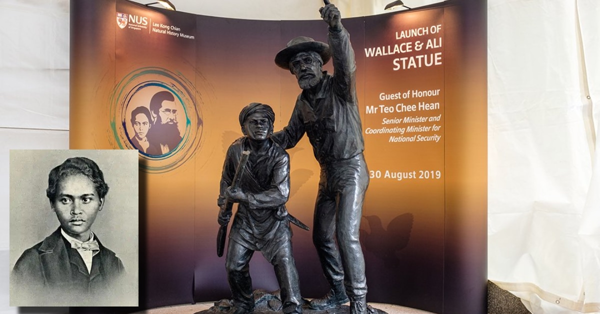 Kenali Ali Wallace, Anak Sarawak Yang Bantu Mengembangkan Teori Evolusi