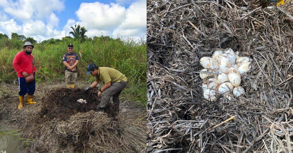 Nikmati Percutian Tenang Dikelilingi Alam Semulajadi Di The Village ...