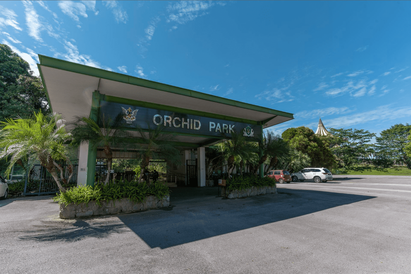 Dikenali Sebagai Bunga Rasmi Negeri Sarawak, Jom Lihat Orkid Normah Di ...