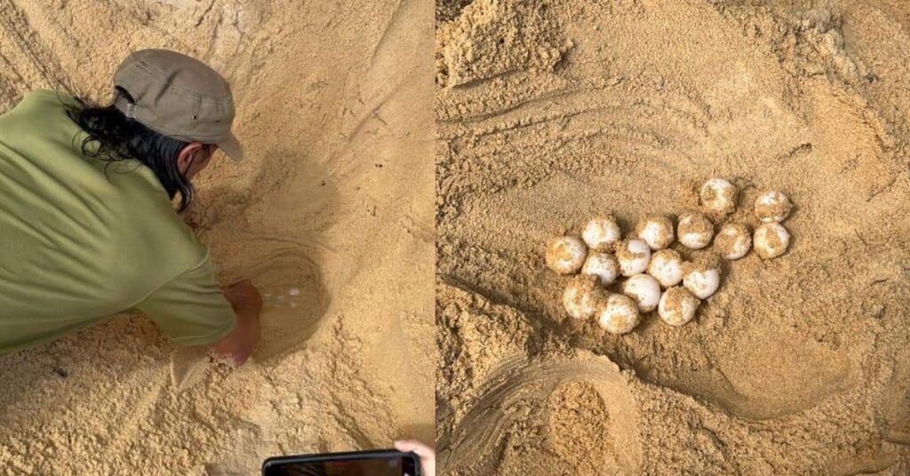 Kisah Hantu Janet, Dongeng Jururawat Yang Diculik Untuk Ritual 'Semah'