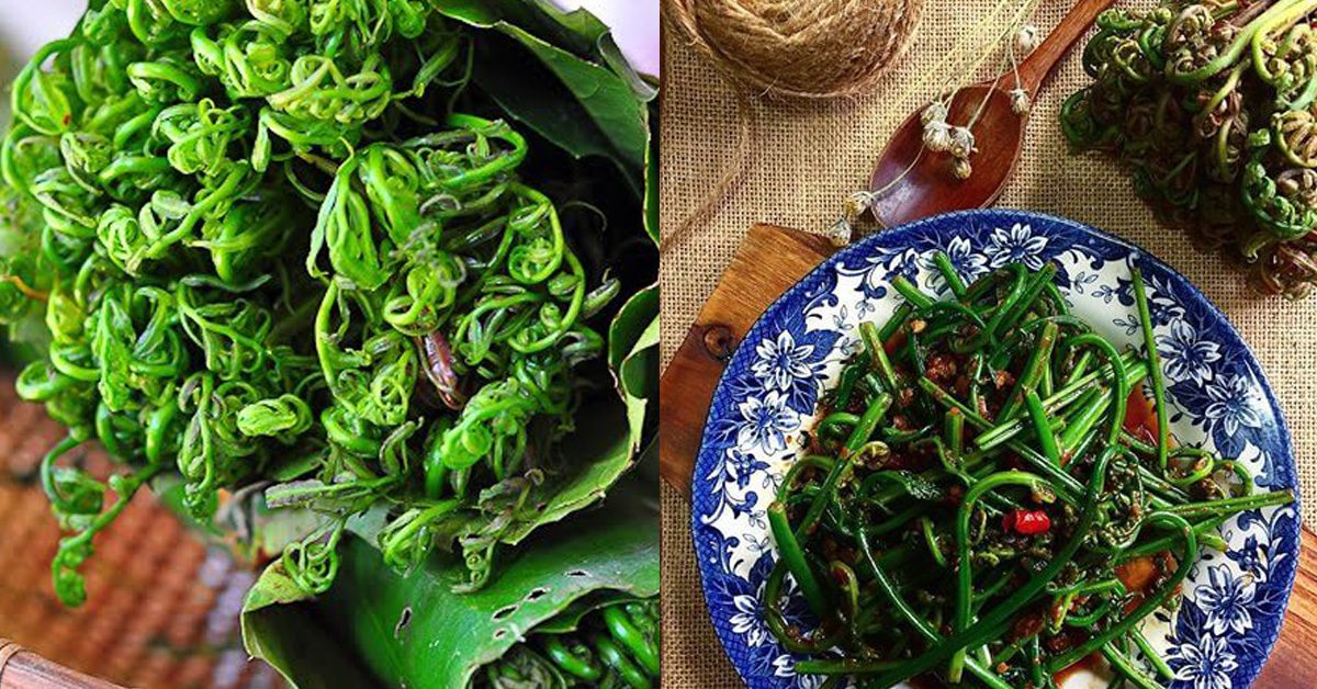 Tumbuh Secara Semulajadi, Ketahui Sayur Midin Makanan Hak Milik Mutlak ...