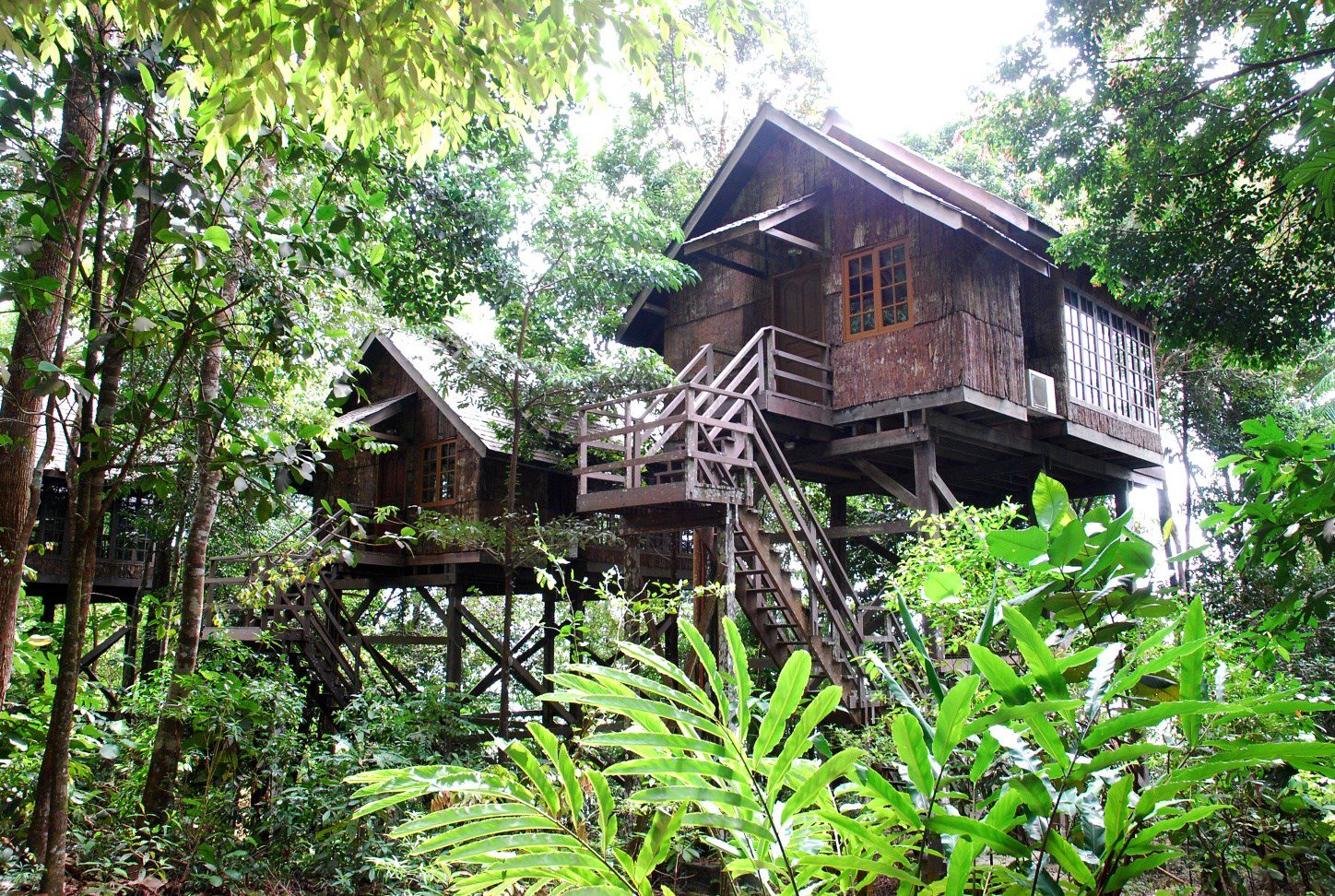 Homestay Atas Pokok Dikelilingi Alam Semulajadi, Nikmati Percutian ...