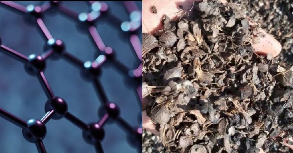 Atlet Sabah, Gabriel Gilbert Daim Raih Pingat Perak Di Sukan Komanwel ...