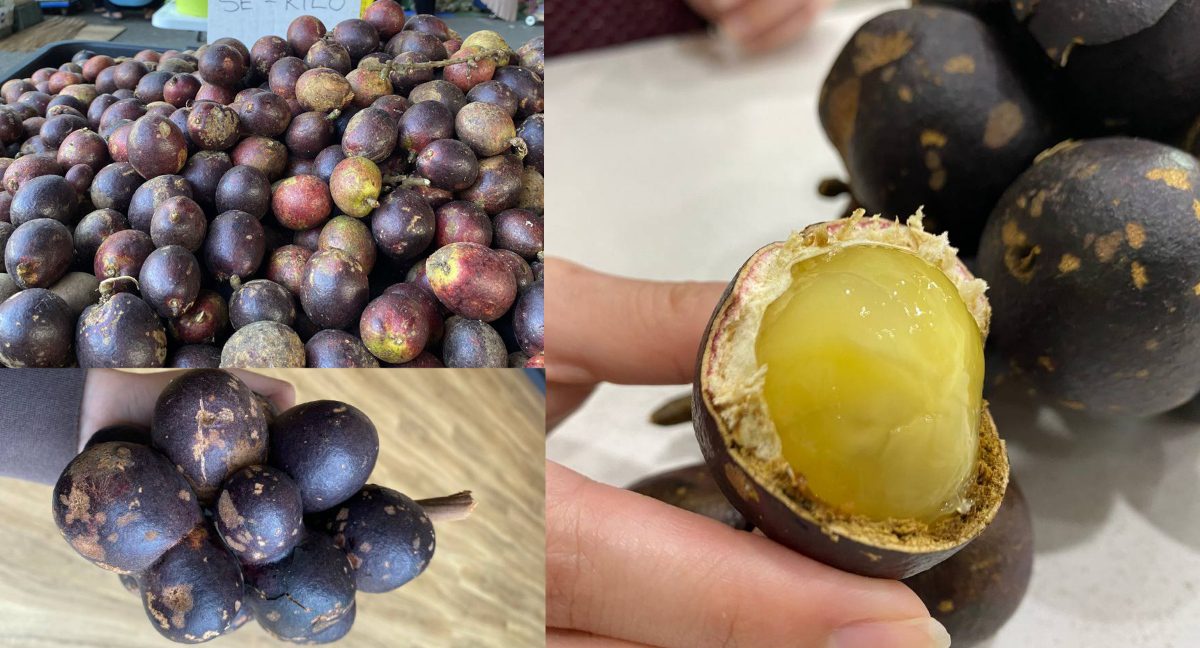 Isinya Tebal Dan Manis, Ketahui Buah Kristal Yang Terkenal Dengan 3 Rasa