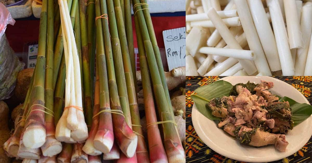Penuh Aroma Dan Rasa Unik, Pucuk Tepus Di Sarawak Jadi 'Flavor Enhancer ...