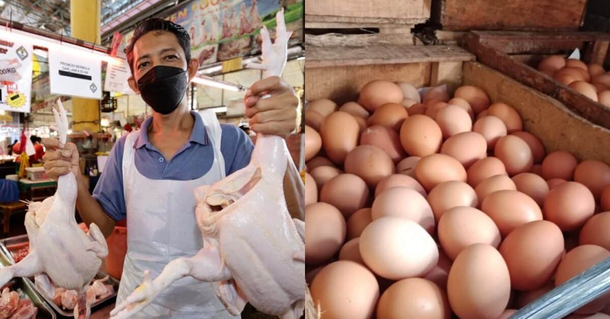 Kerajaan Teruskan Pemberian Subsidi Ayam, Telur Hingga Disember Ini
