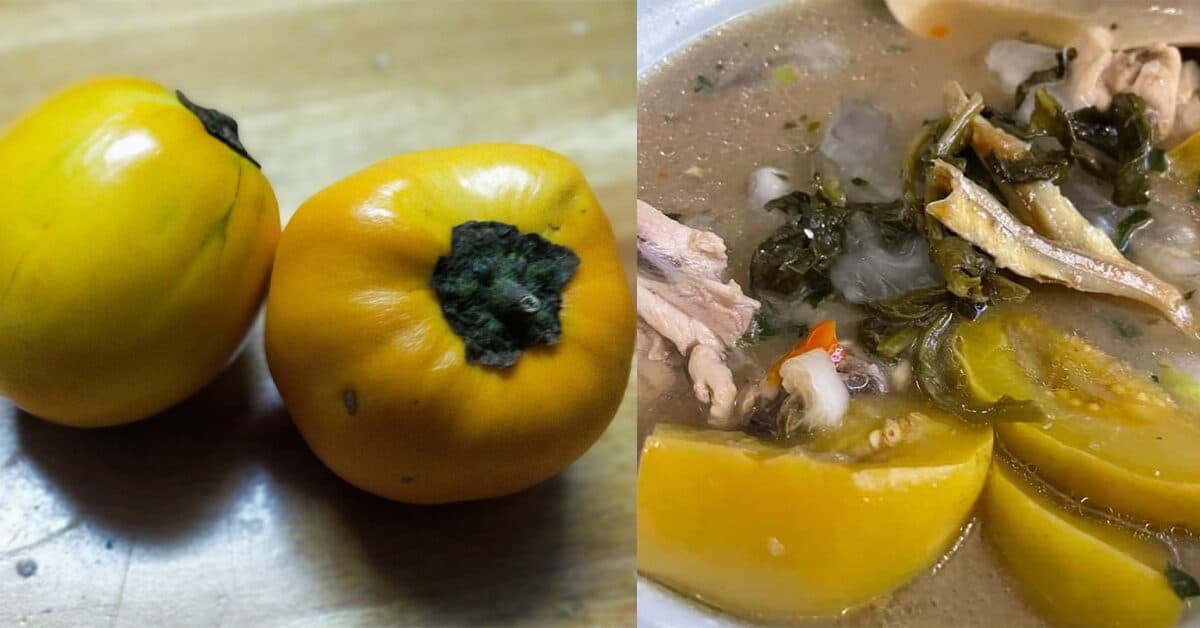 Jadi Kegemaran Penduduk Di Sarawak, Kenali Buah Terung Dayak Yang Unik Ini