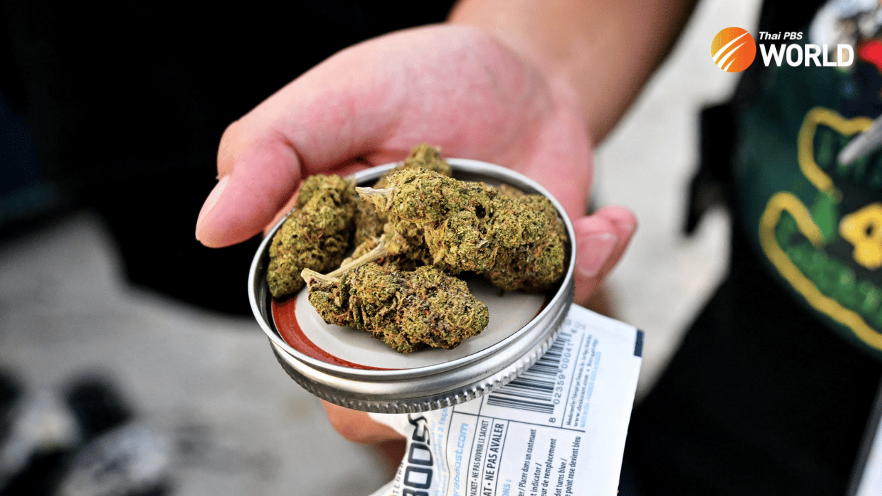 Air Minuman Campuran Ganja Dapat Sambutan Pelancong Malaysia Di Thailand