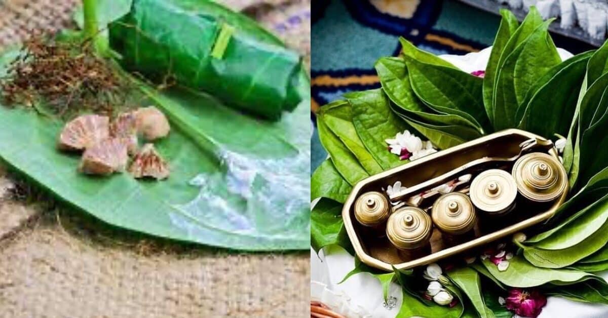 Ketahui Makna Disebalik Adat Sirih Pinang Dalam Kalangan Masyarakat Melayu