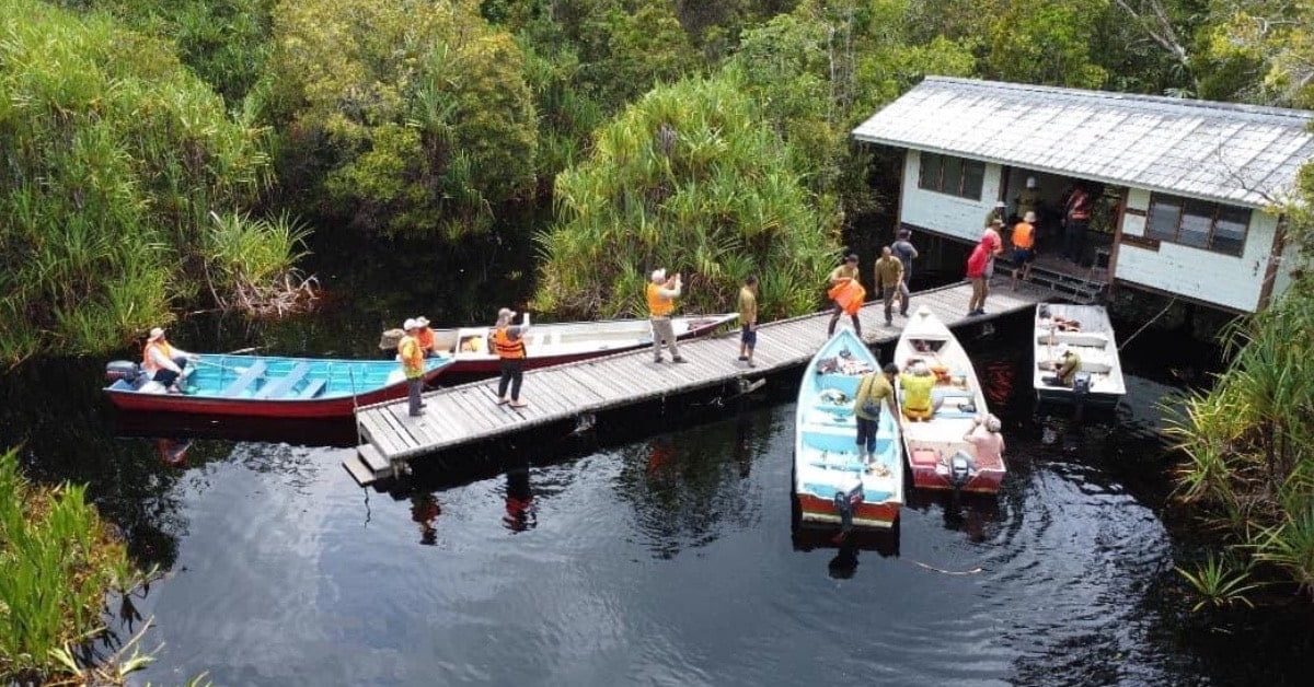 Taman Negara Maludam, Destinasi Wajib Dikunjungi Untuk Terokai Hutan ...