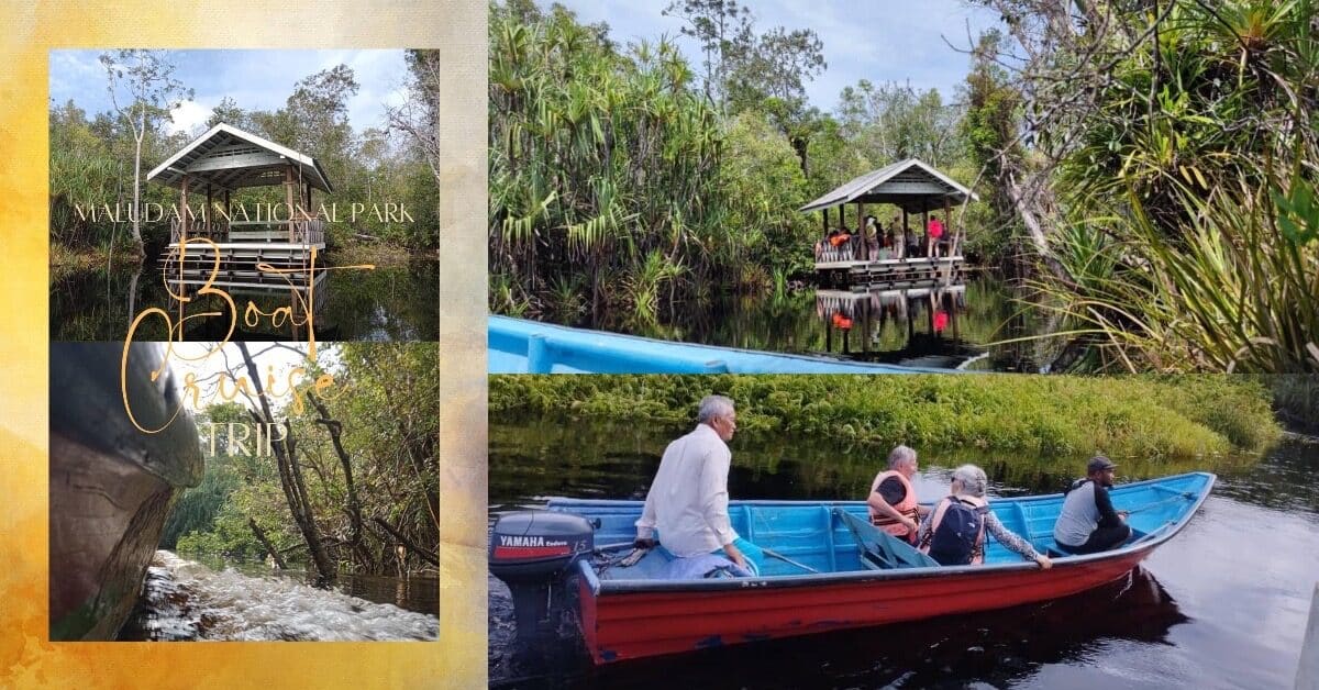 Taman Negara Maludam, Destinasi Wajib Dikunjungi Untuk Terokai Hutan ...