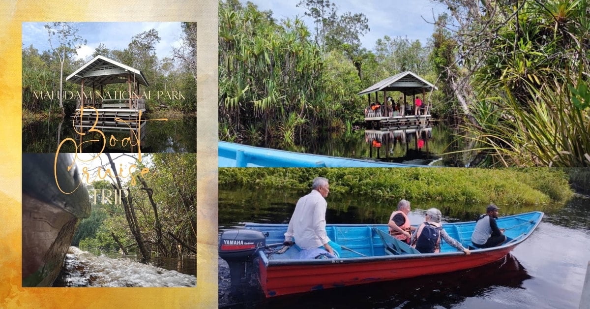 Taman Negara Maludam, Destinasi Wajib Dikunjungi Untuk Terokai Hutan ...