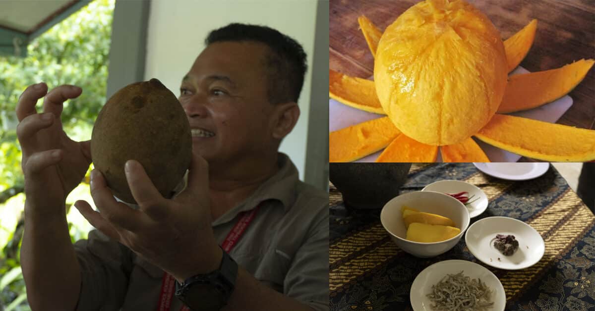 Digelar Bambangan Atau Asam Embang, Ketahui Buah Penuh Khasiat Dari ...