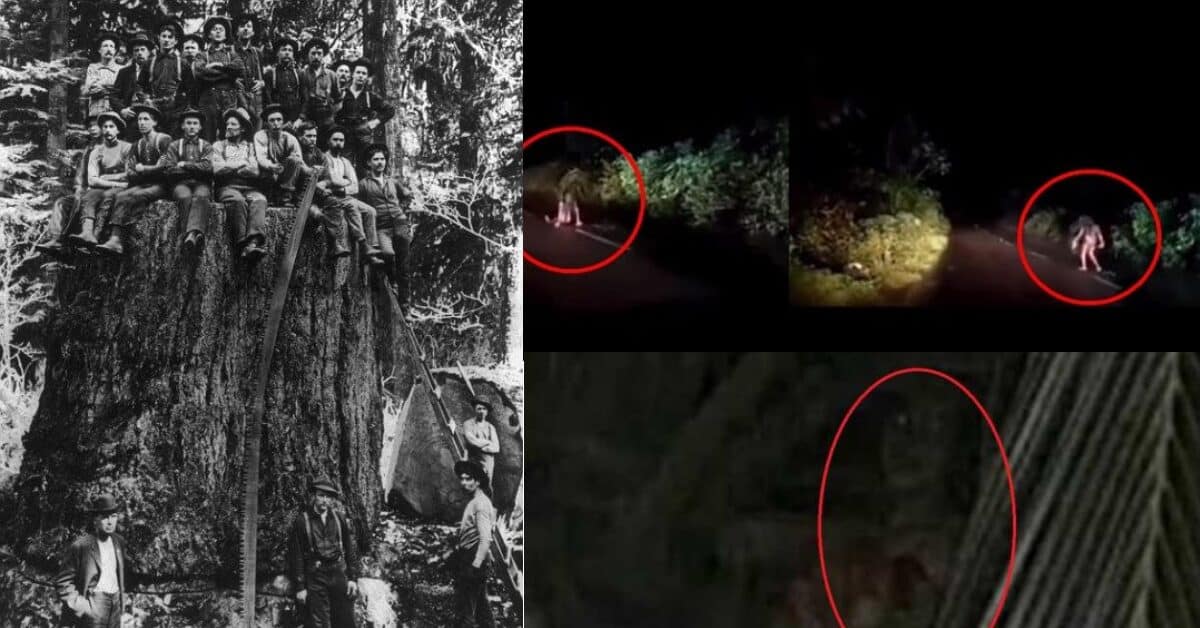 Lagenda Hantu Kayong Di Sarawak, Ketahui Mitos Sumpahan Hantu Bangkit ...