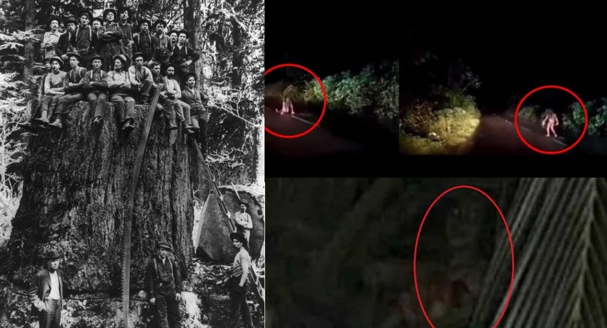 Lagenda Hantu Kayong Di Sarawak, Ketahui Mitos Sumpahan Hantu Bangkit ...