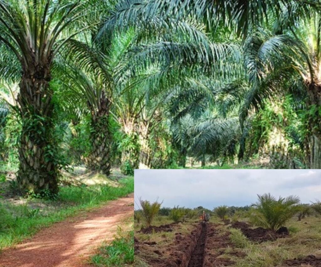 Baru 15 Tahun, Remaja Perempuan Ditemui Maut Dalam Keadaan Tragis Di ... Baru 15 Tahun, Remaja Perempuan Ditemui Maut Dalam Keadaan Tragis Di ...