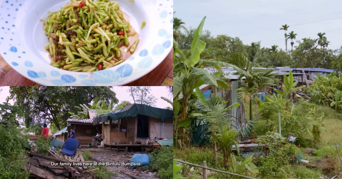 Bunga Betik Jadi Menu Harian, Media Antarabangsa Papar Kehidupan ...
