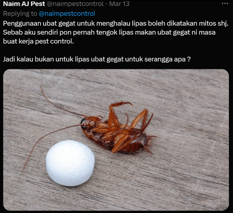 Rupa-Rupanya Bukan Untuk Halau Lipas, Ini Penggunaan Sebenar Ubat Gegat