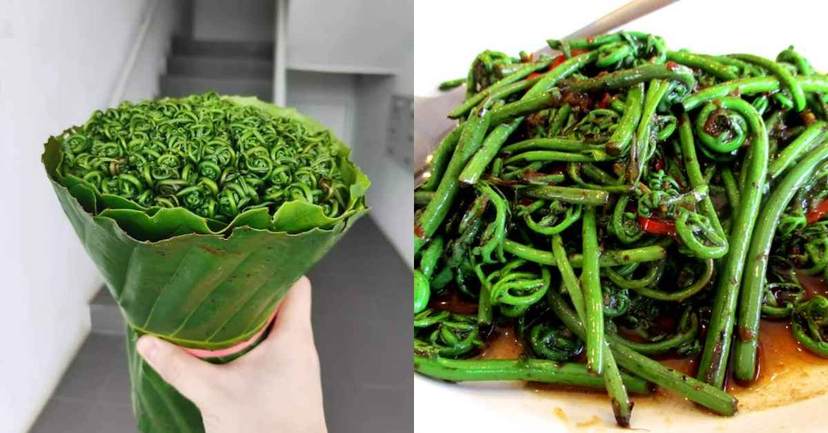 Sedap Dimasak Bersama Belacan, Ketahui 5 Kebaikan 'Midin' Sarawak