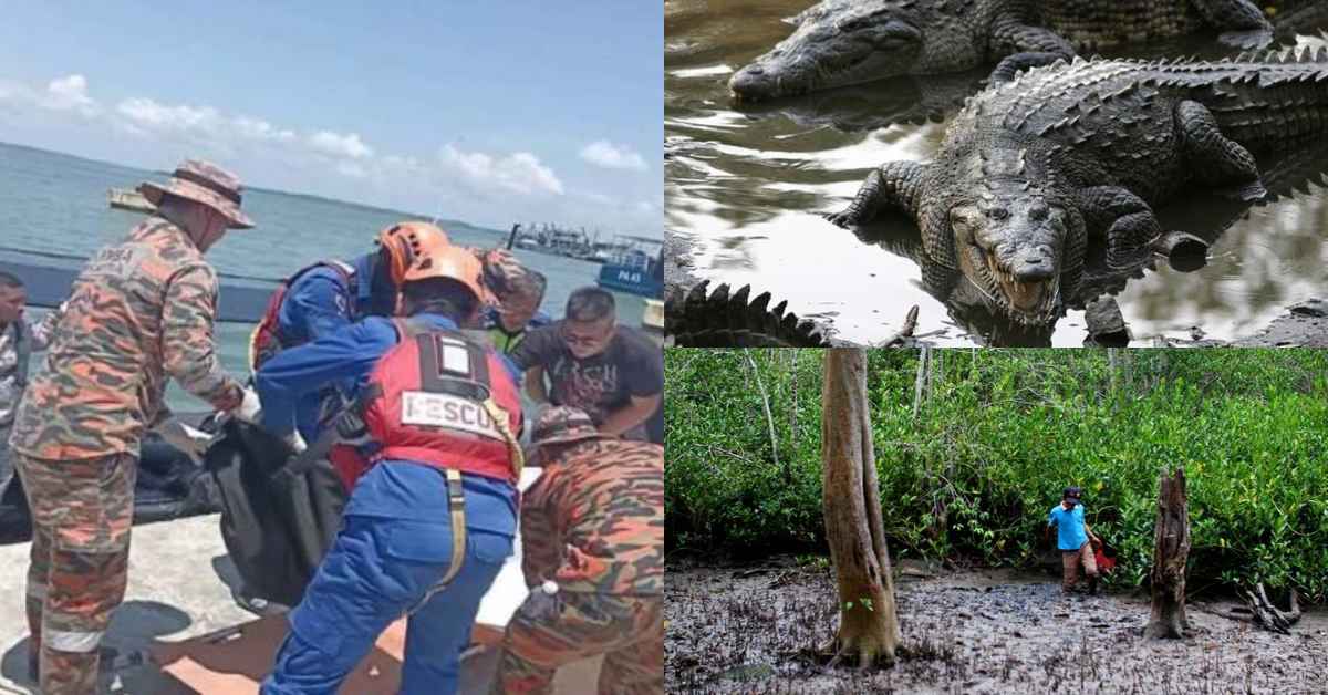 Kanak-Kanak 12 Tahun Maut Dibaham Buaya Ketika Cari Siput Di Sabah