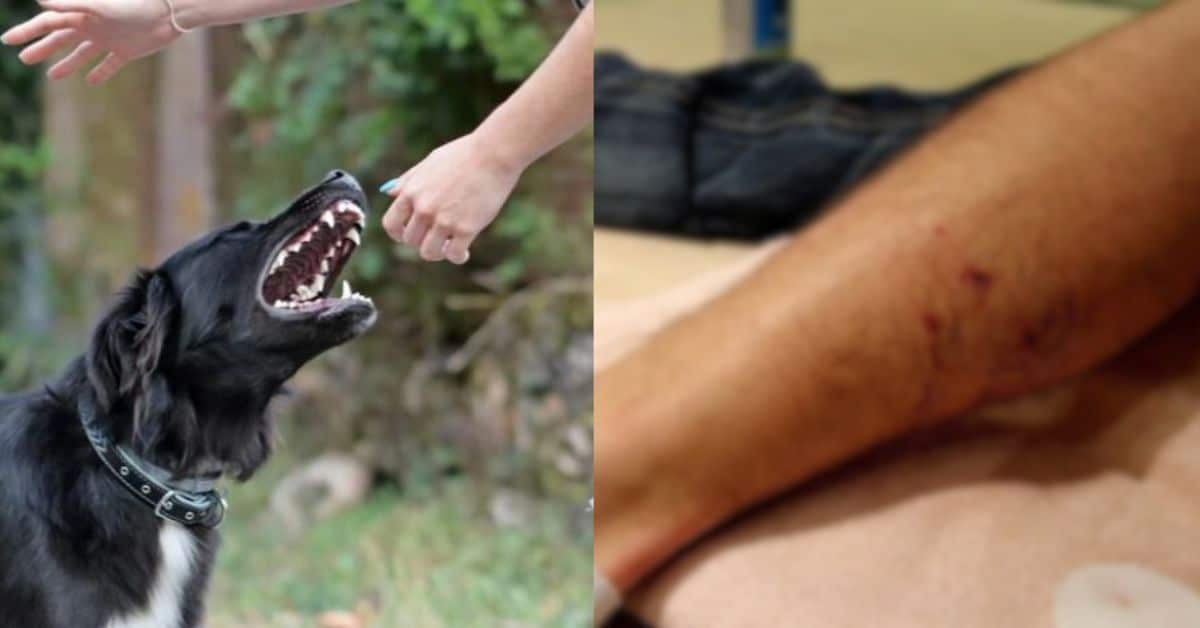 Tindakan Pantas Mampu Selamatkan Nyawa, Ini Perkara Anda Perlu Buat ...