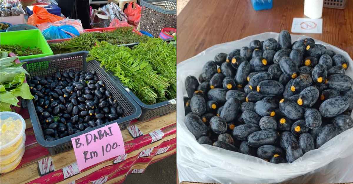 Dijual RM100 Sekilo, Ramai Tak Puas Hati Buah Dabai Dijual Pada Harga ...