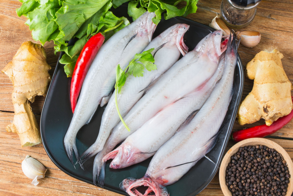 Keunikan Ikan Lumi, 'Alien' Dari Laut Dengan Rasa 5 Bintang