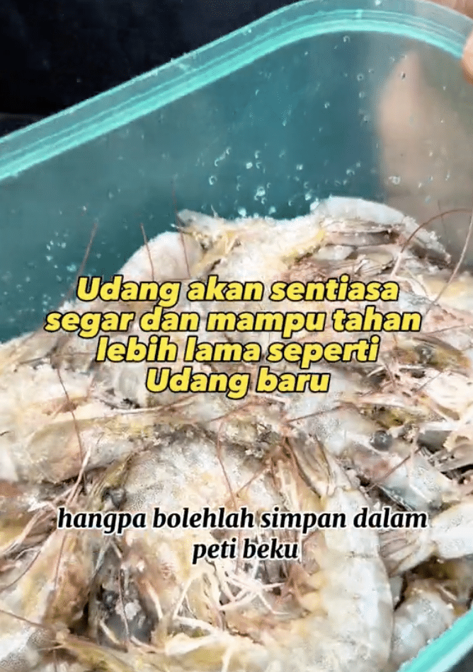 Individu Ini Tunjuk Cara Simpan Udang Supaya Kekal Segar Dan Tahan Lama