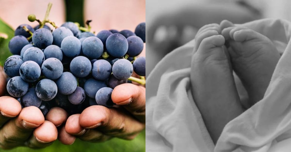 Gara-Gara Tercekik Buah Anggur, Kanak-Kanak 2 Tahun Maut