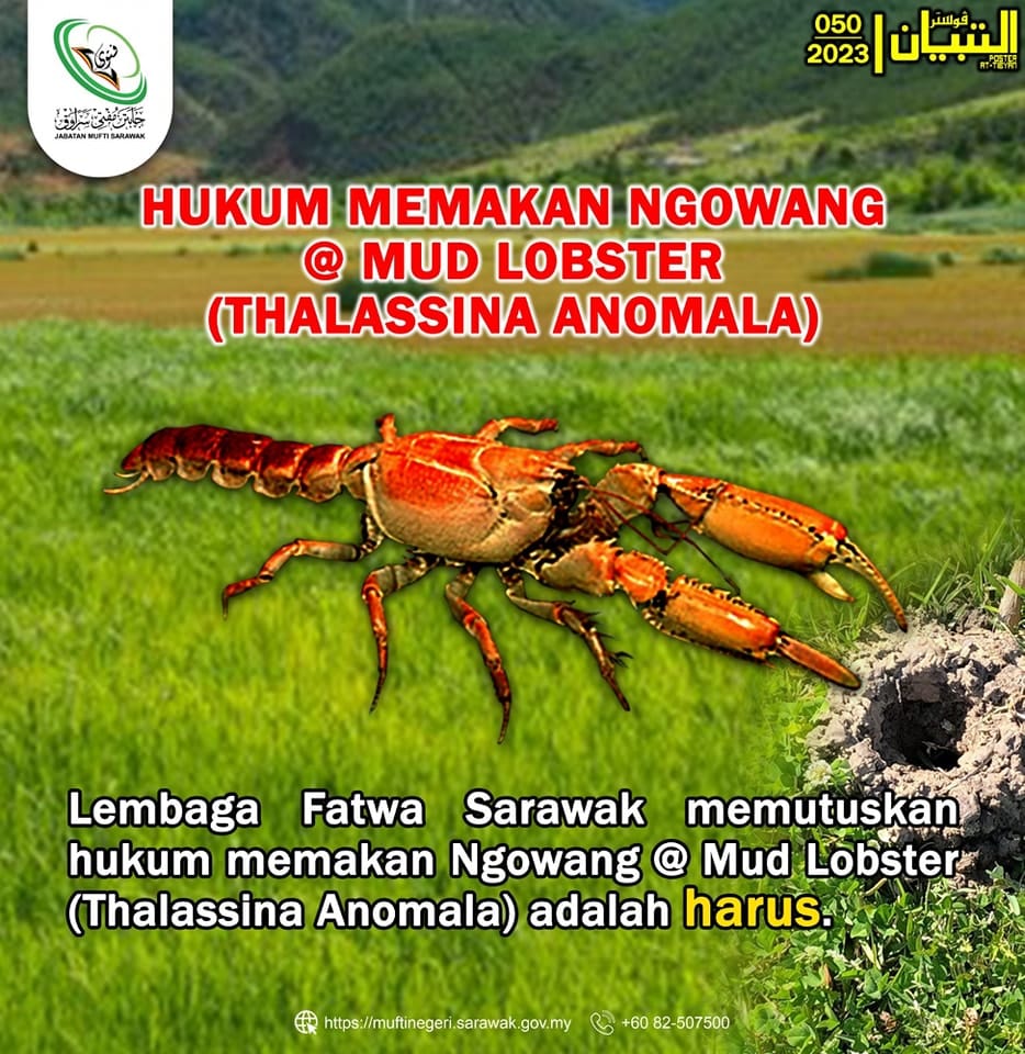 Makanan Eksotik Sarawak, Lembaga Fatwa Sarawak Keluarkan Hukum Makan Ngoang