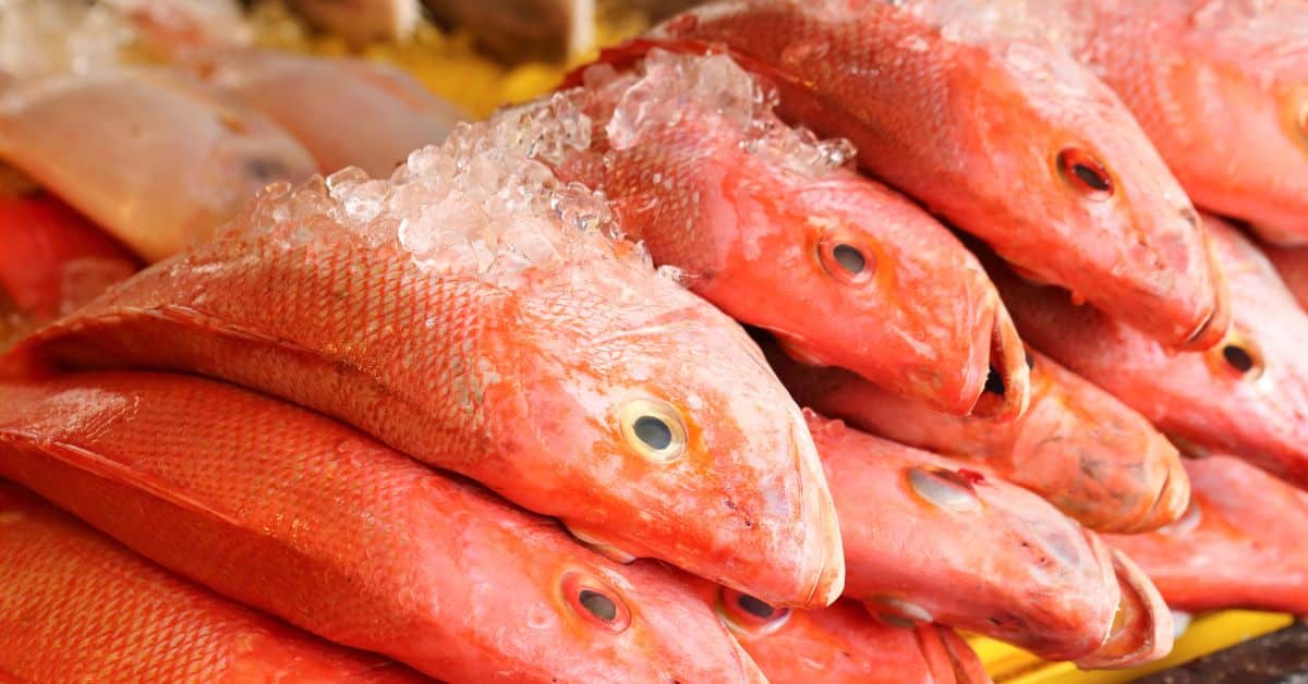 Kantoi Peniaga Pasar Malam Inanam, Kota Kinabalu Guna Perwarna ...