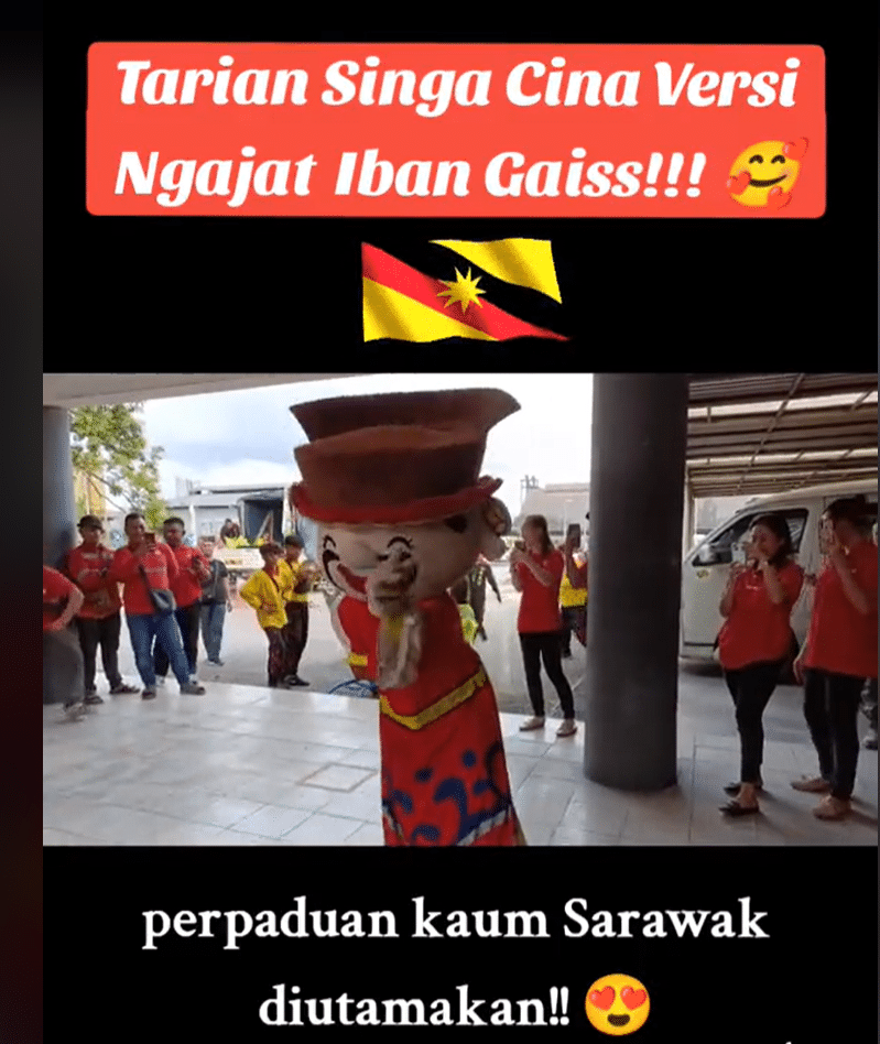 Hanya Di Sarawak, Tarian Singa Ngajat Versi Iban Ini Tarik Perhatian Ramai