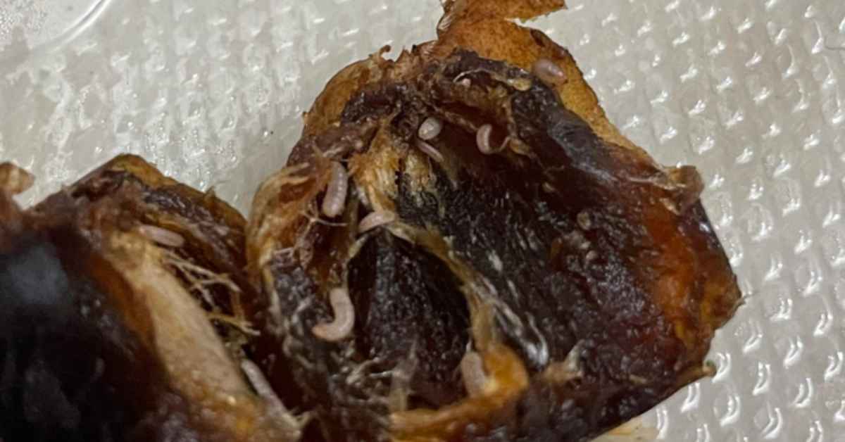 Wanita Kembang Tekak Terbeli Kurma Berulat Di Pasar Raya Di Sabah