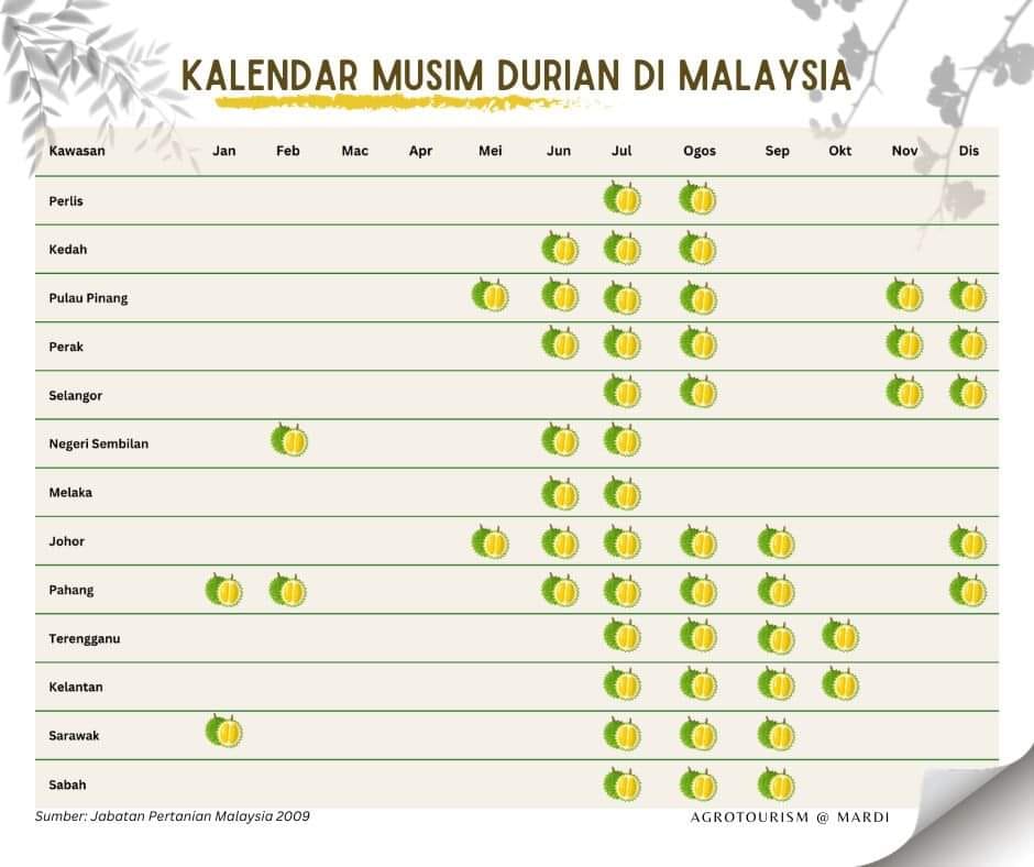 Ketahui Bila Musim Durian Di Setiap Negeri Di Malaysia