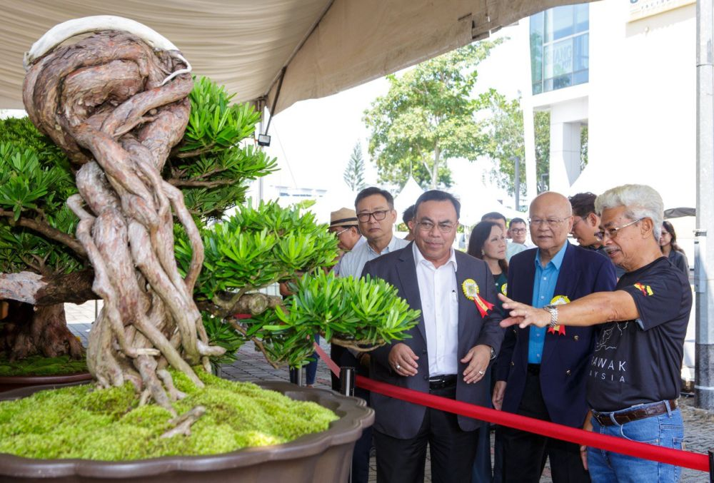 DBKU Cadang Pembangunan Taman Bonsai Pertama Malaysia Di Kuching