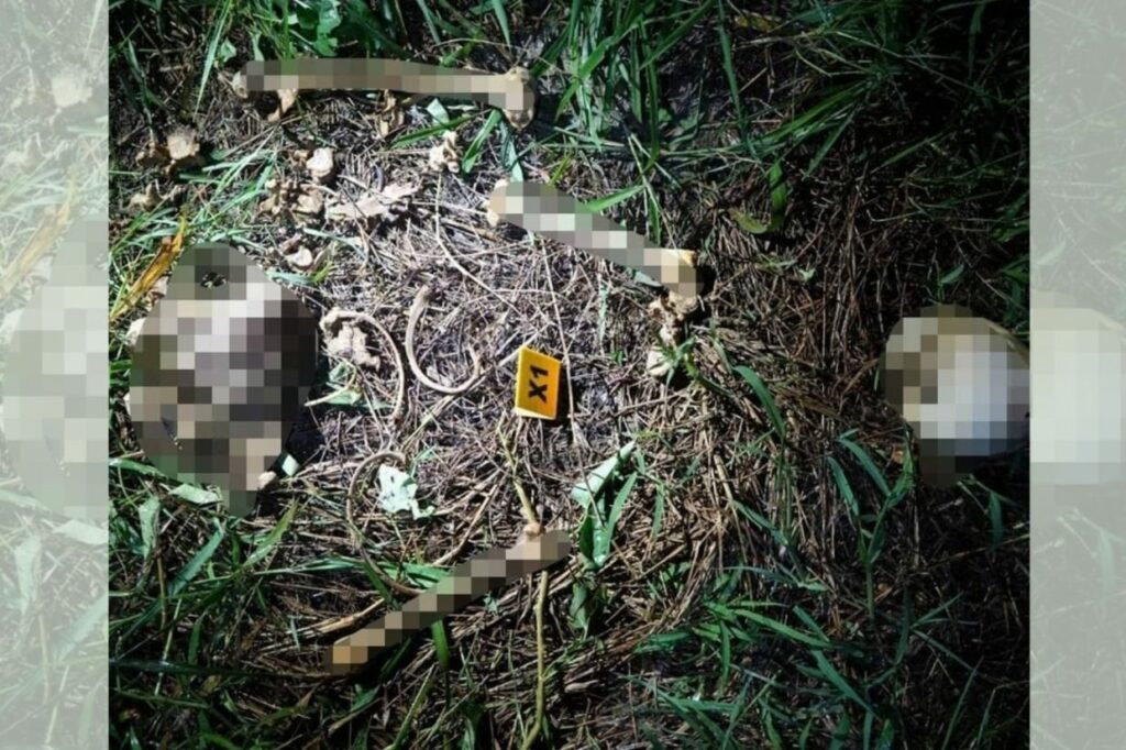 Misteri Di Batu 7, Penemuan Tengkorak Dan Rangka Manusia Di Jalan Miri ...