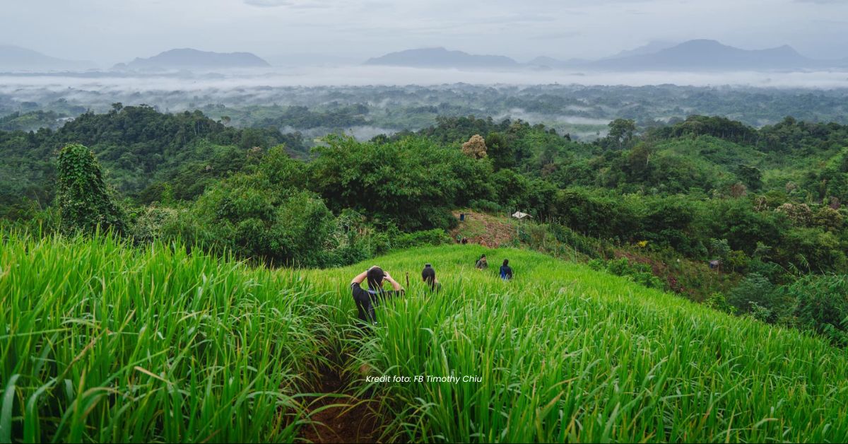 Gunung Tama, Trail Untuk Beginner Mengejar Awan Karpet Di Serian